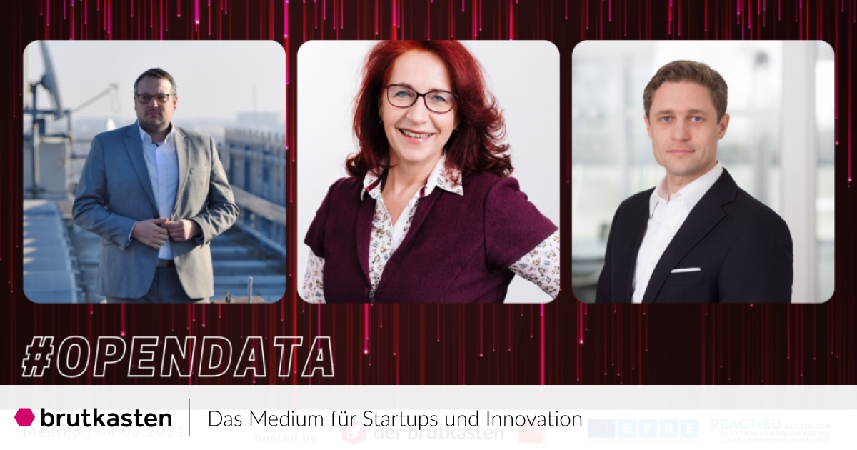 Open Data Meetup: Basics & Best-Practices | brutkasten